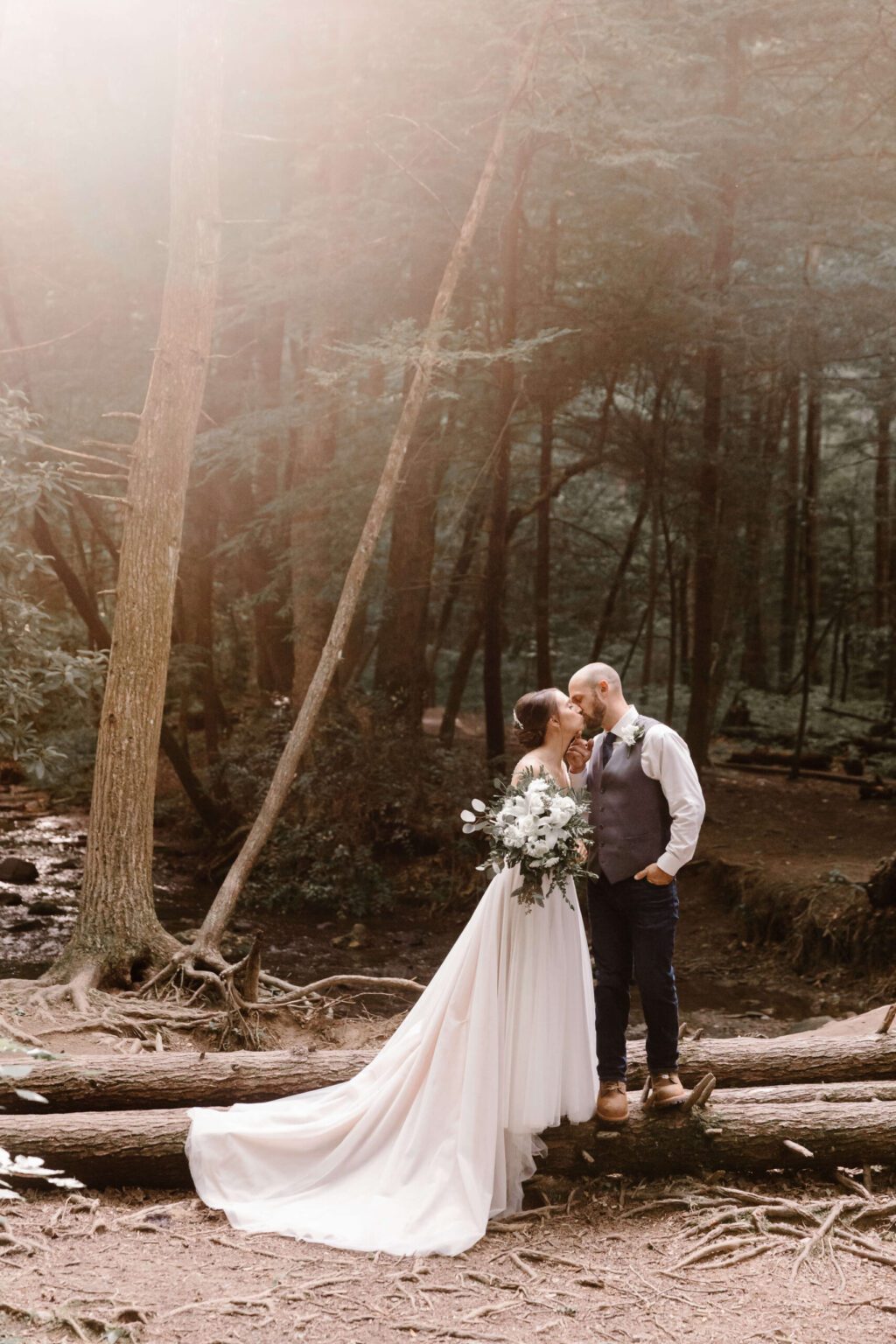 Smokies Portfolio | Erin Morrison Photography